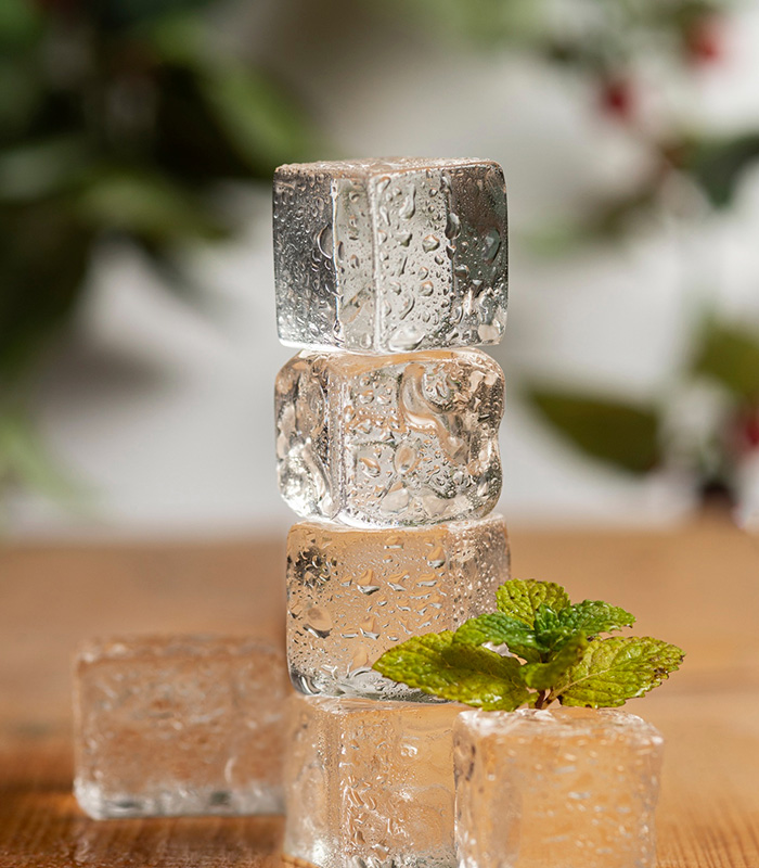 Ice Makers - Get Rental